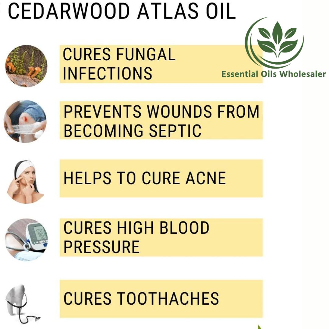 Atlas Cedar Essential Oil- Buy Wholesale | Essential Oils Wholesaler ...