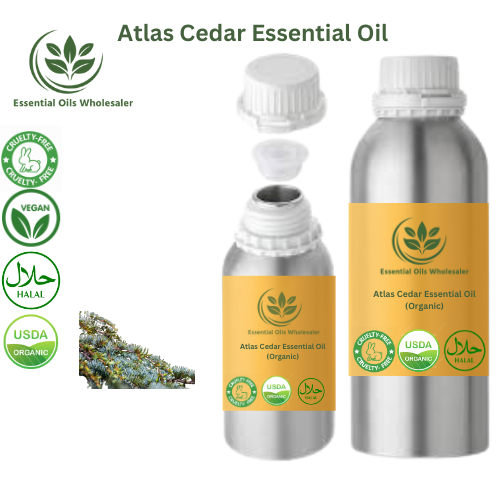 Atlas Cedar Essential Oil- Buy Wholesale | Essential Oils Wholesaler ...