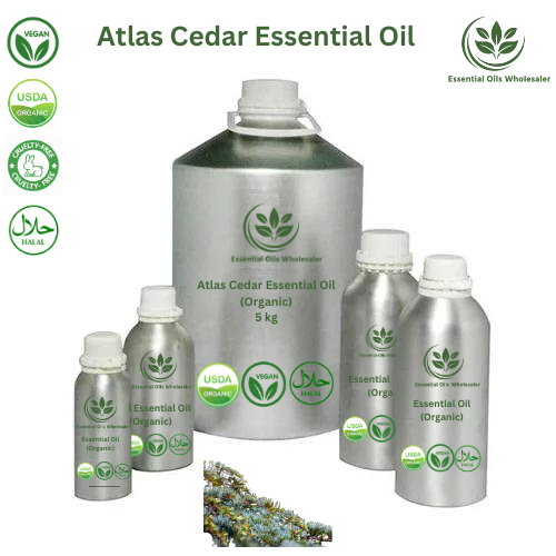 Atlas Cedar Essential Oil- Buy Wholesale | Essential Oils Wholesaler ...