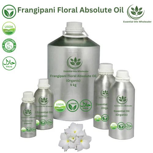 Frangipani Floral Absolute Oil- Buy Wholesale | Absolute Oils ...